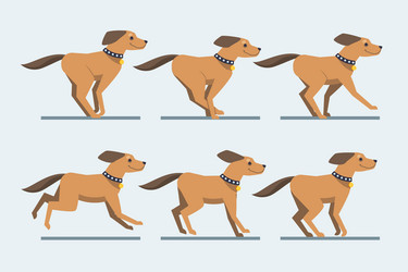 Flat design animation frames element set Vector Image