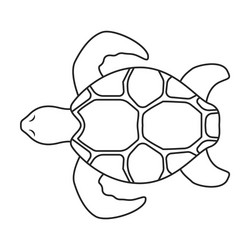 Loggerhead Sea Turtle Drawing