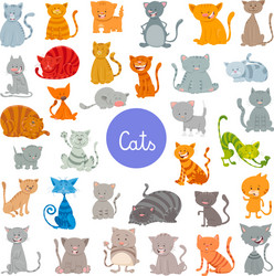 Cute orange cat cartoon character sticker set Vector Image
