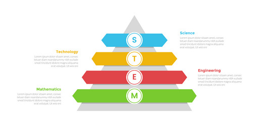 Stem education infographics template diagram Vector Image