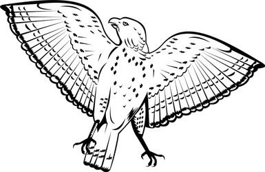 Hawk Stencil Vector Images (over 490)