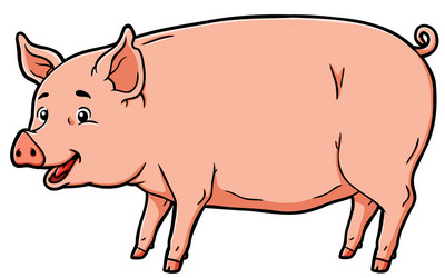 Cartoon pig line art Royalty Free Vector Image