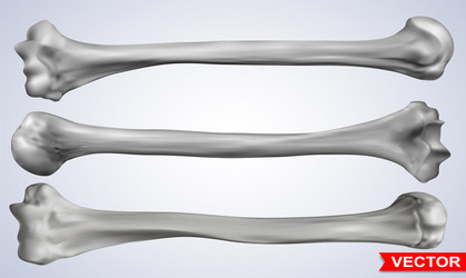 Human Bone Vector Images (over 55,000)