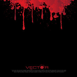 Abstract blood splatter isolated on black Vector Image