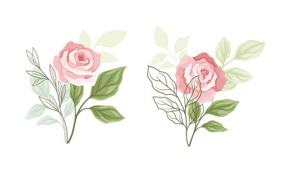 Rose Stem Vector Images (over 6,300)