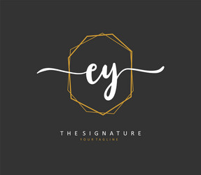 Ey initial letter handwriting and signature logo Vector Image