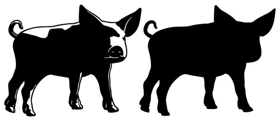 Pig innocent look front view isolated Royalty Free Vector