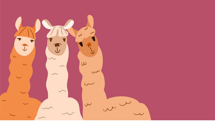 Llama Friends Cute Vector Images (86)