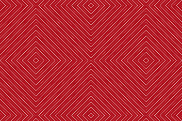 Geometric red background with lines forming Vector Image