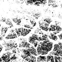 Mud Overlay Vector Images (over 150)