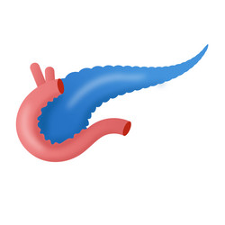 Pancreas Vector Images (over 5,200)