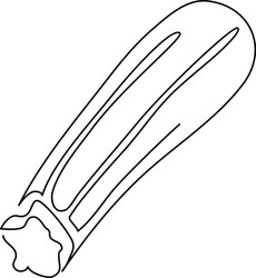 Zucchini Outline Vector Images (over 510)