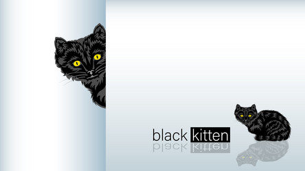 Cat looking mirror conceited kitten look on Vector Image