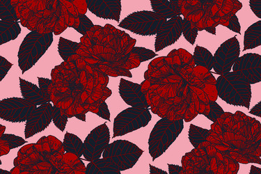 Floral repeating pattern of white-red roses Vector Image