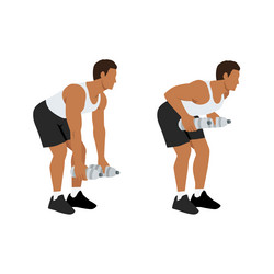 Man doing bent over barbell rows exercise Vector Image