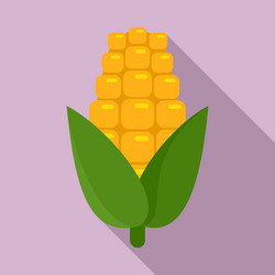 Corn icons set flat style Royalty Free Vector Image