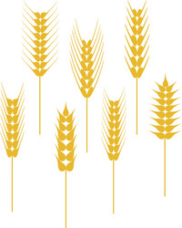 Wheat Vector Images (over 120,000)
