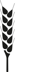 Wheat icon spica symbol flat Royalty Free Vector Image