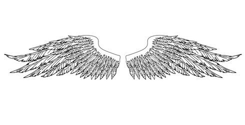 Wings drawing Royalty Free Vector Image - VectorStock
