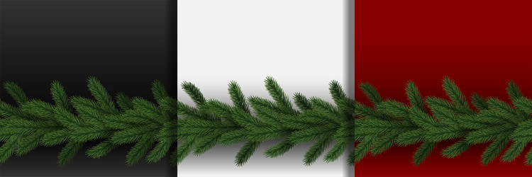 Green fir tree border isolated white background Vector Image