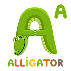 Alligator Flashcard Vector Images (over 100)