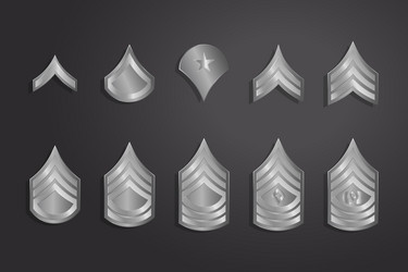 Military ranks stripes and chevrons set army Vector Image