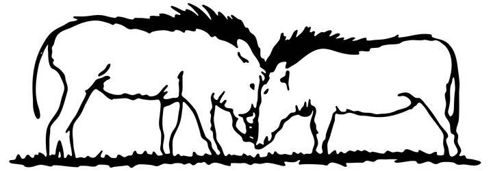 Warthog Drawing Hog Vector Images (over 390)