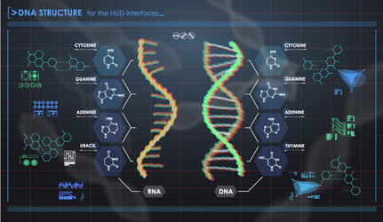 Hud infographic elements with dna structure Vector Image