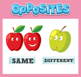 Opposite words for same and different Royalty Free Vector