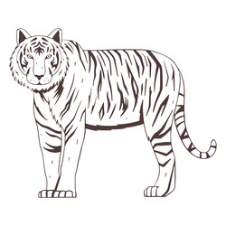 Tiger Side View Vector Images (over 270)
