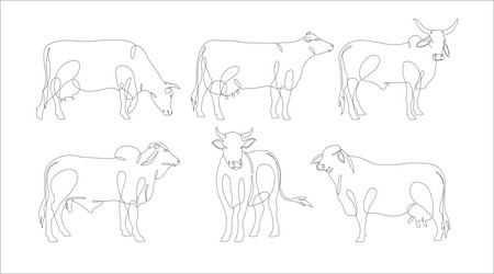Drawing of a continuous line of cattle Royalty Free Vector