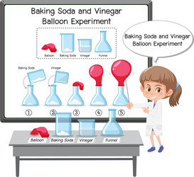Science experiment with baking soda and vinegar Vector Image