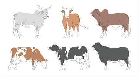 Drawing of a continuous line of cattle Royalty Free Vector