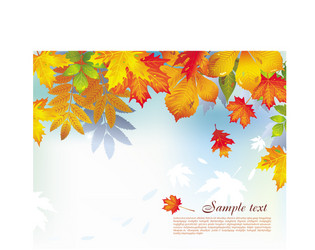 Autumn Vector Images (over 580,000)