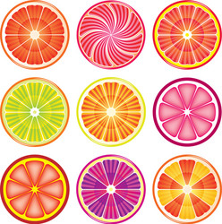 Citrus Vector Images (over 95,000)