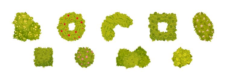 Shrubs Plan View Vector Images (86)