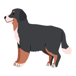 Bernese Vector Images (over 590)