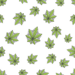 Seamless texture marijuana six Royalty Free Vector Image