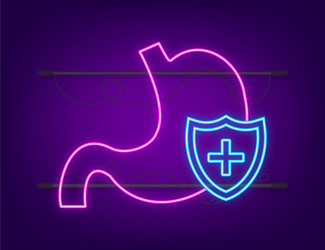 Intestines protection healthy protected intestine Vector Image