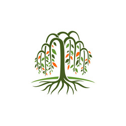 Willow Tree Logo Vector Images (over 330)