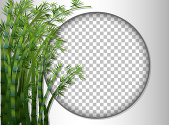 Round bamboo rustic old tropical circle frame Vector Image