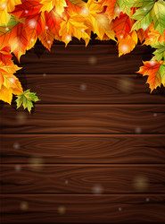 Autumn leaves on background wooden boards Vector Image