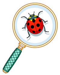 Ladybug Magnifying Glass Vector Images (90)
