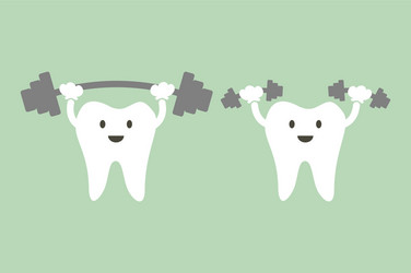 Happy healthy white teeth are weightlifting Vector Image