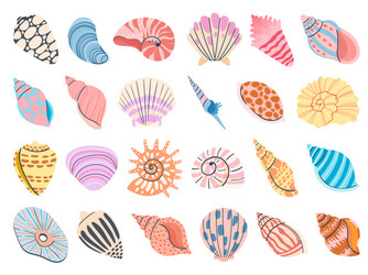 Seashell Cartoon Clipart For Free