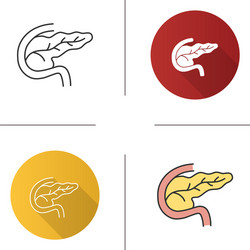 Pancreas and duodenum glyph icon Royalty Free Vector Image