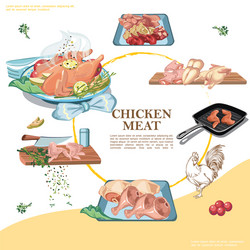 Chicken meat parts with names cuisine poster Vector Image