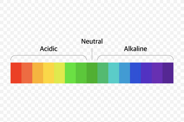 Ph scale universal indicator color chart Vector Image