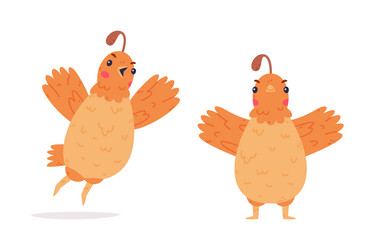 Flying Quail Vector Images (over 160)