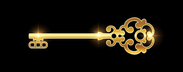 Golden luxury key icon Royalty Free Vector Image